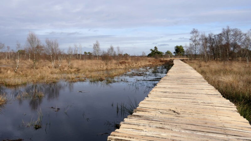 Nationaal Park De Groote Peel - Buitencentrum De Pelen